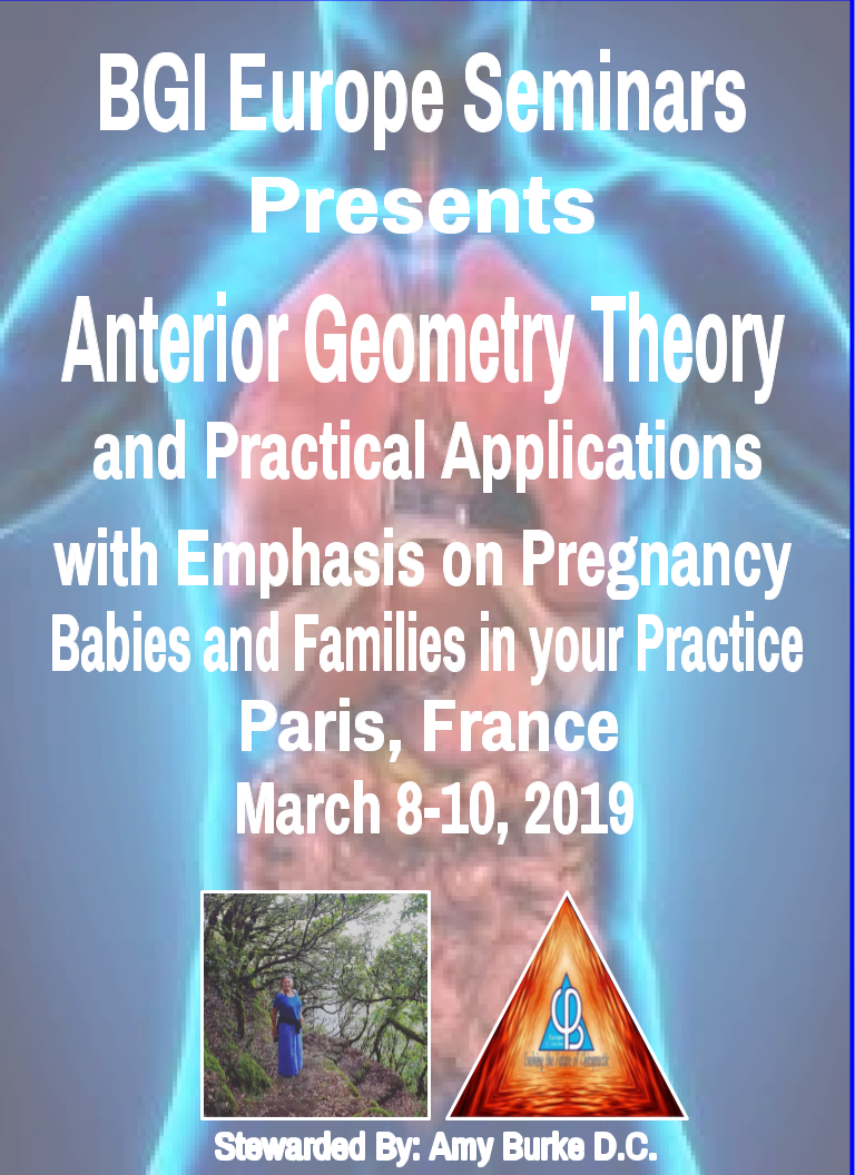 Anterior Geometry Paris 2019 – BGI Europe Seminars®